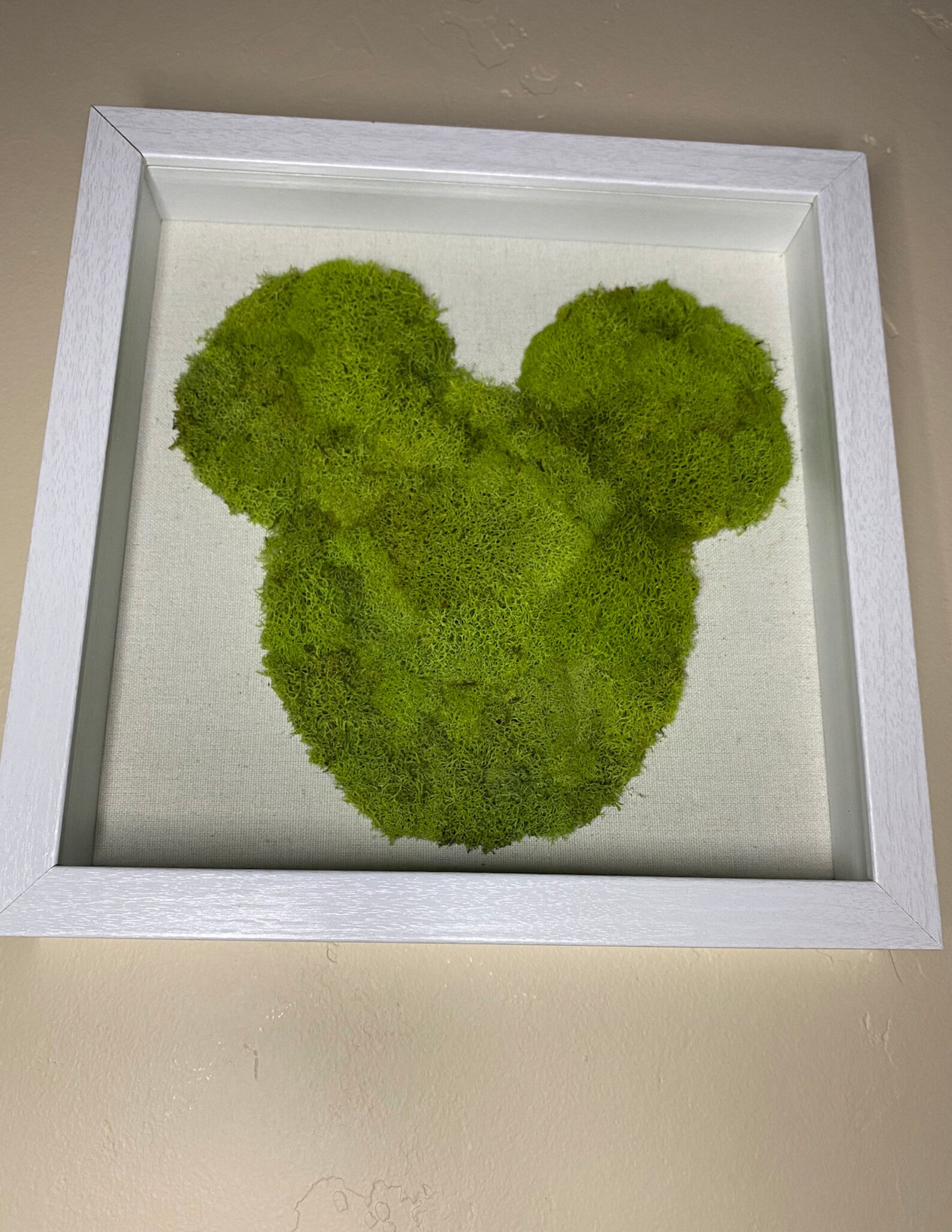 Magical Mouse Moss Art 9x9 Shadow Boxes - Etsy