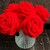 Akatsuki | Crochet Pillow Pattern PDF - Instant Download - Etsy