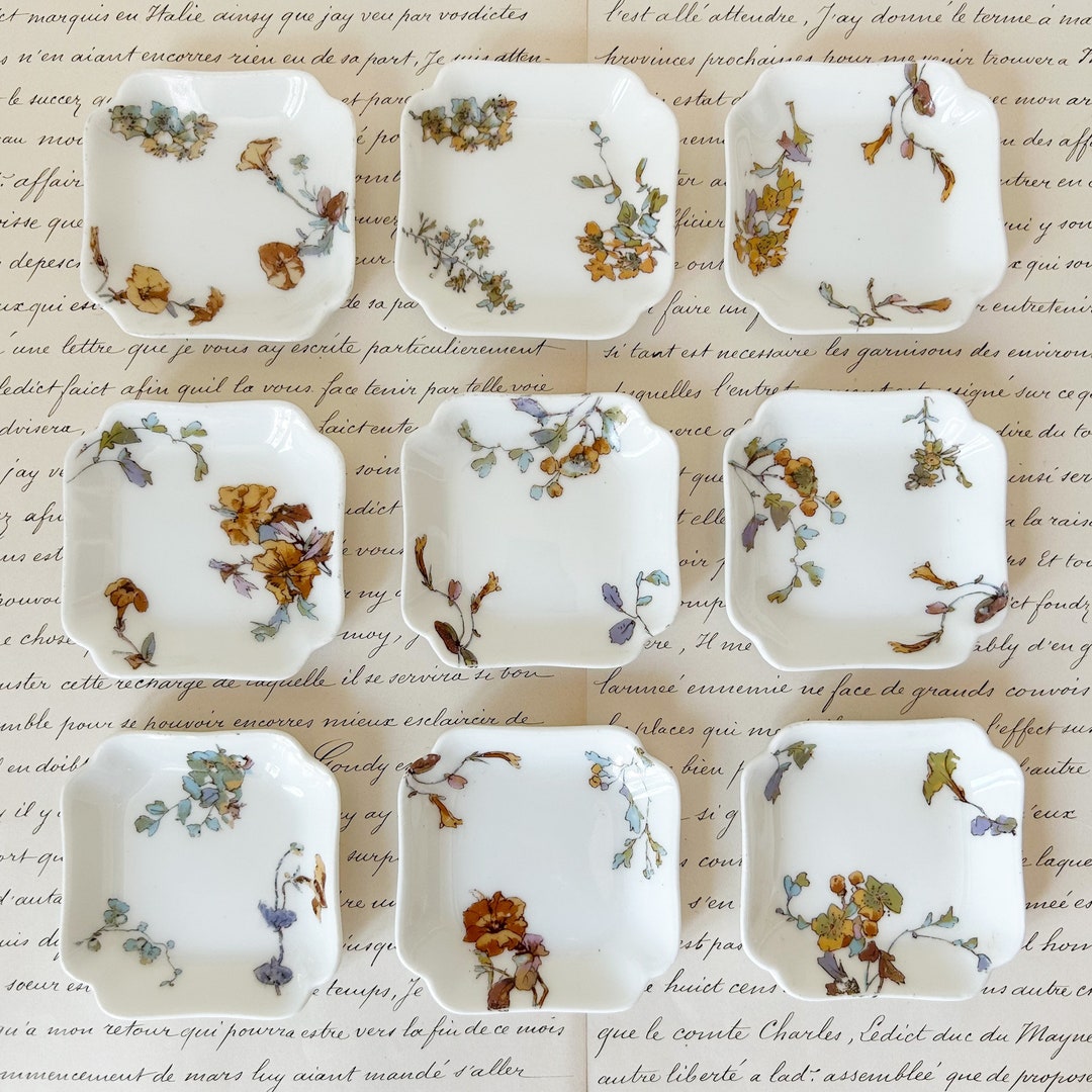 Vintage Porcelain Butter Pat Set 9. French Limoges Porcelain Butter ...