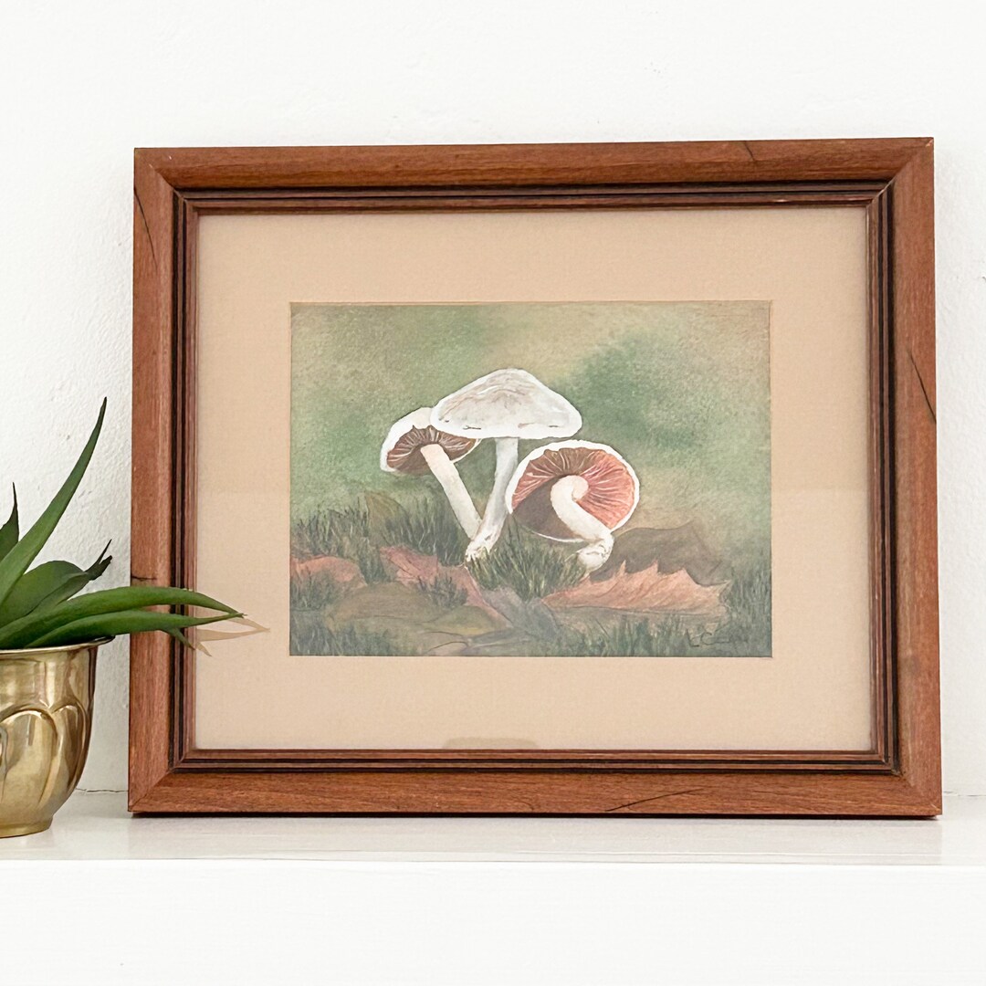 Vintage Mushroom Watercolor Framed. Original Signed Artwork. Funghi ...