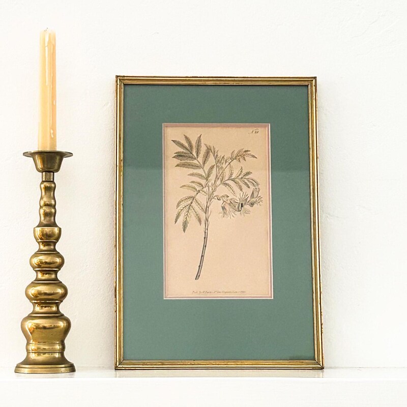 Hand Colored Etching - Etsy