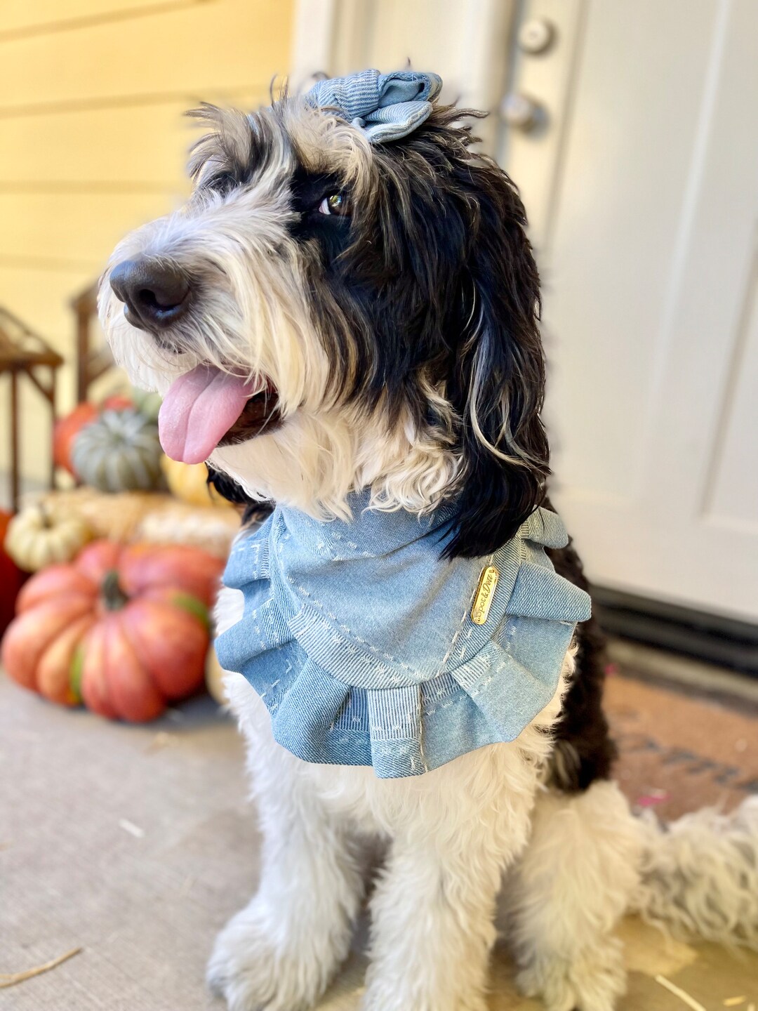 Wren | Snap on Dog Bandana, Fall Dog Bandana, Autumn Dog Bandana ...