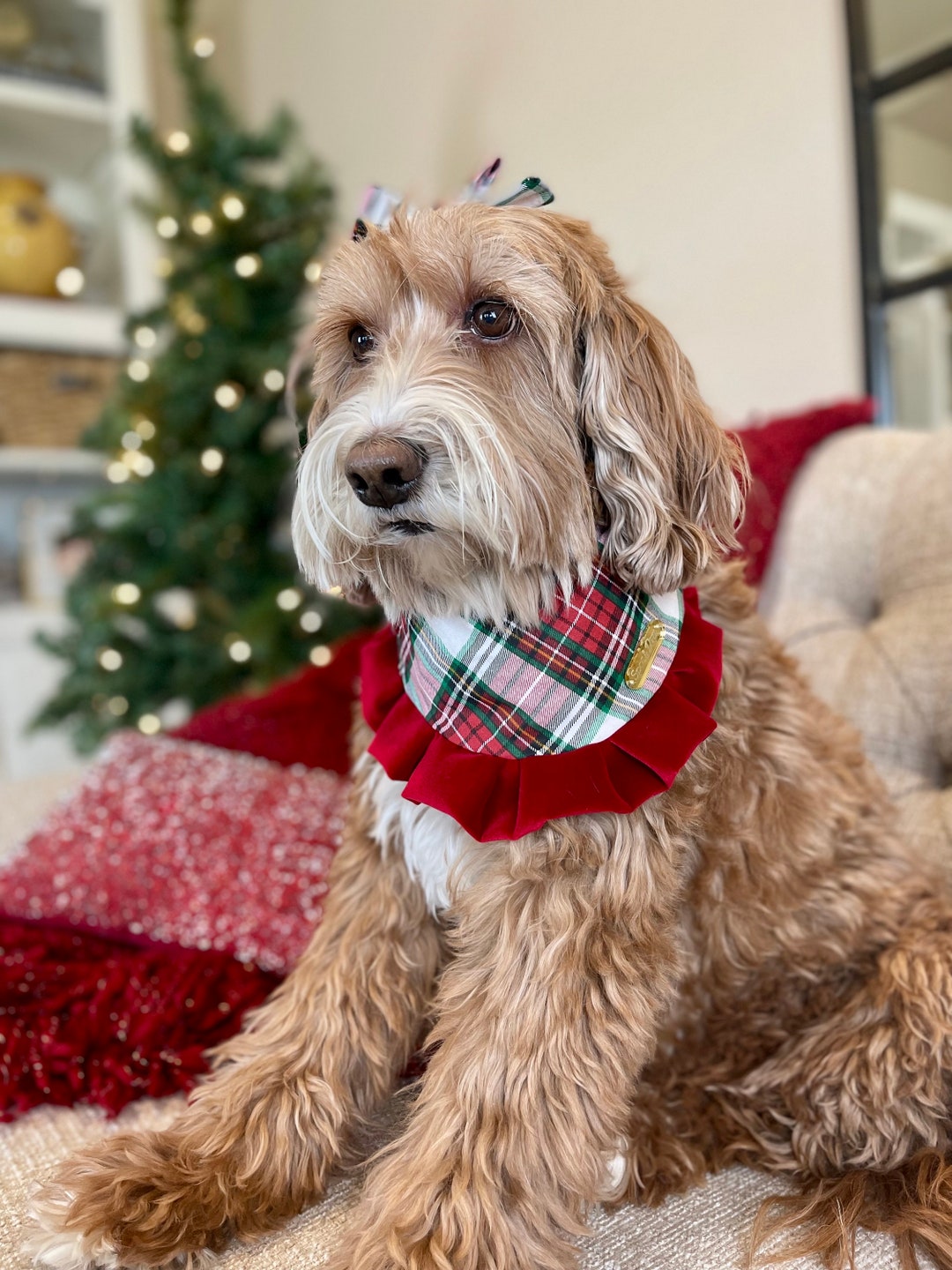 Noel | Snap Closure Dog Bandana, Christmas Dog Bandana, Holiday Dog ...