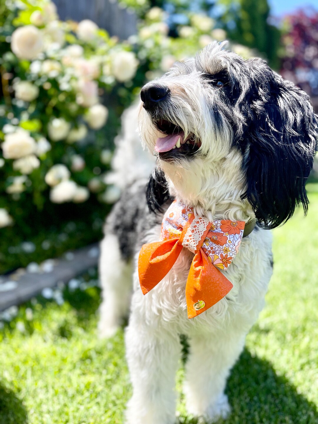 Mitzi Collar Sailor Bow, Slip on Collar Bow, Collar Bow, Summer Collar ...