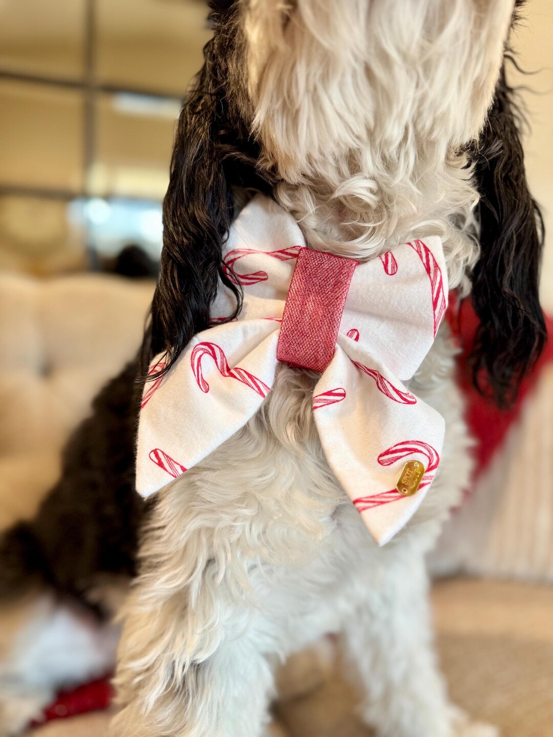 Candy Cane Lane Collar Sailor Bow, Slip on Collar Bow, Red Bow for Dog Collar, Christmas Bow for ...