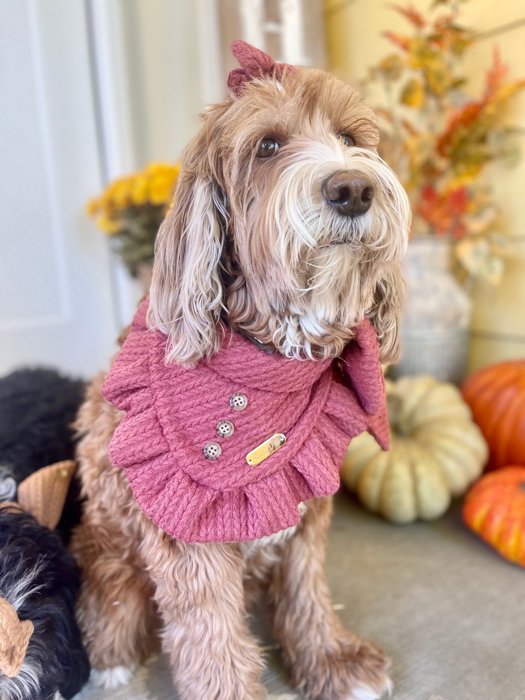 Rory Snap on Dog Bandana, Fall Dog Bandana, Autumn Dog Bandana, Ruffle ...