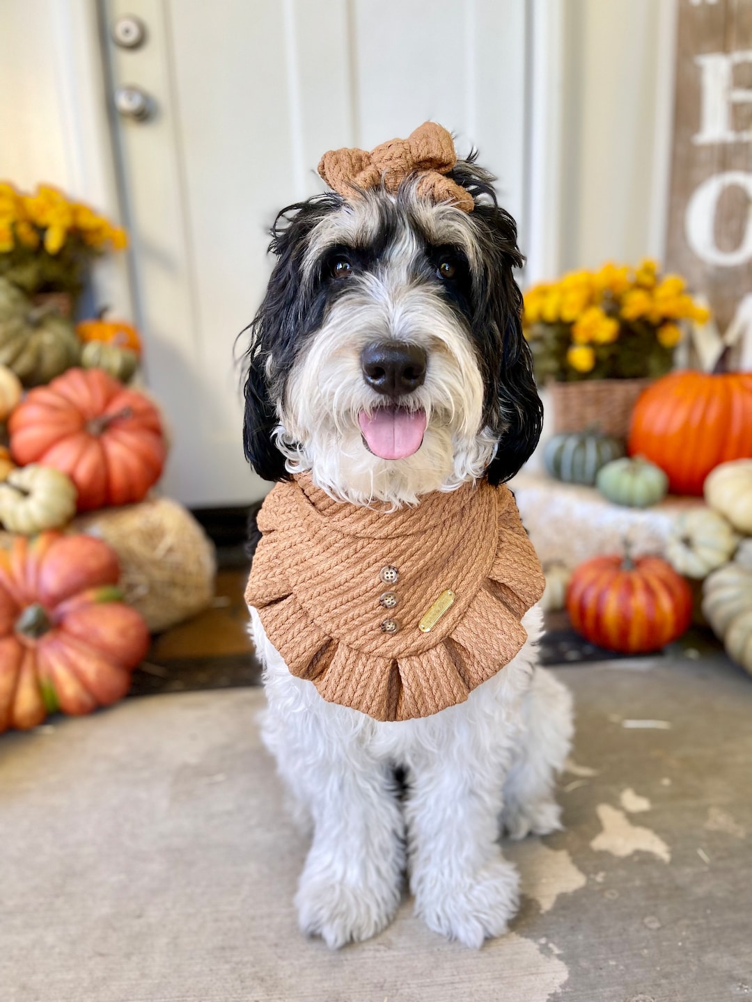 Evermore Snap on Dog Bandana, Fall Dog Bandana, Autumn Dog Bandana ...