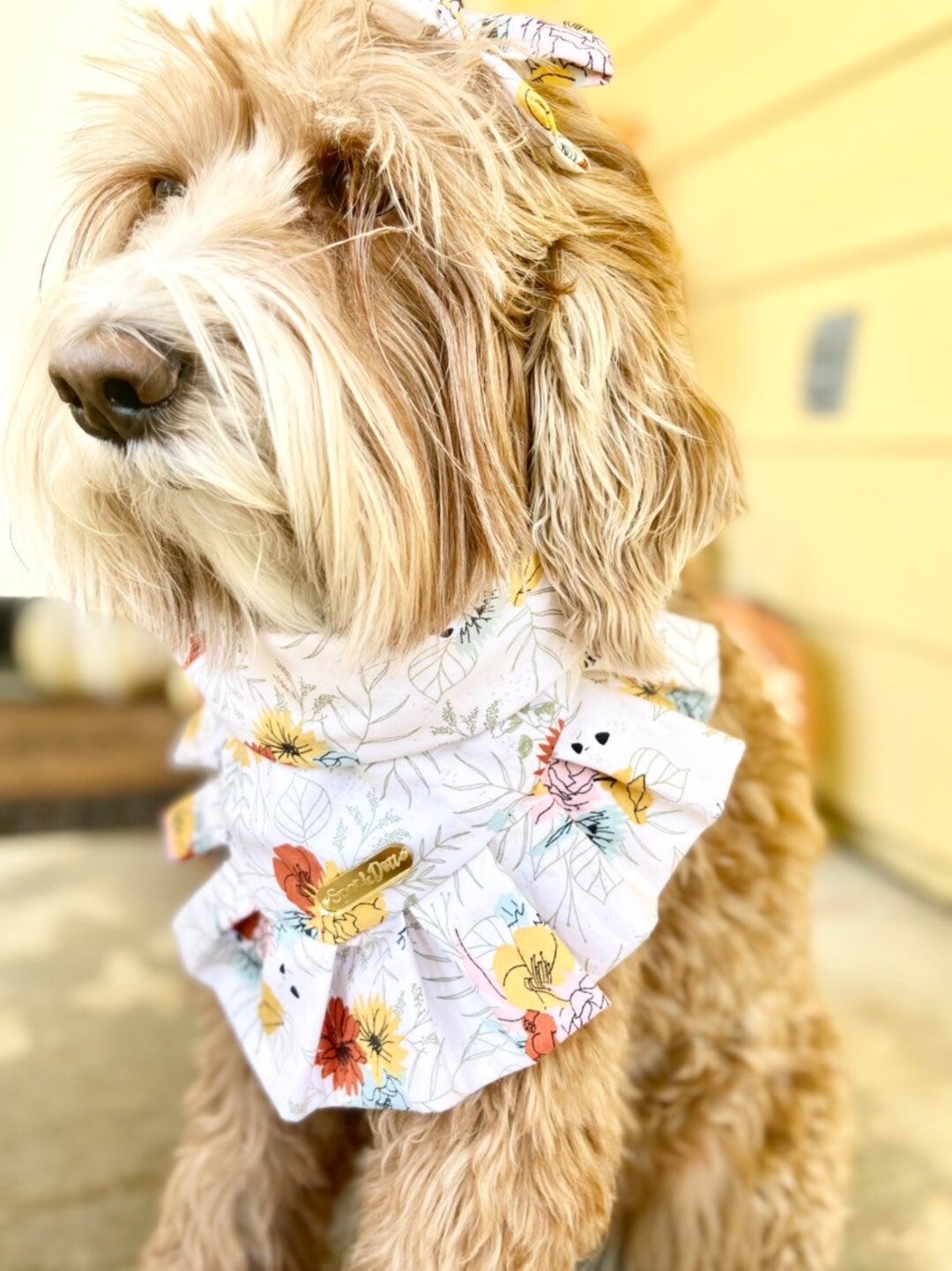 Autumn Bliss Snap Closure Dog Bandana Fall Dog Bandana - Etsy