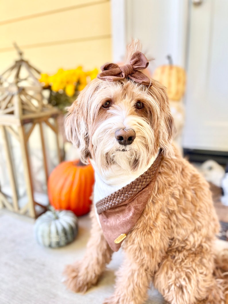 Autumn Magic Snap Closure Dog Bandana Fall Dog Bandana - Etsy