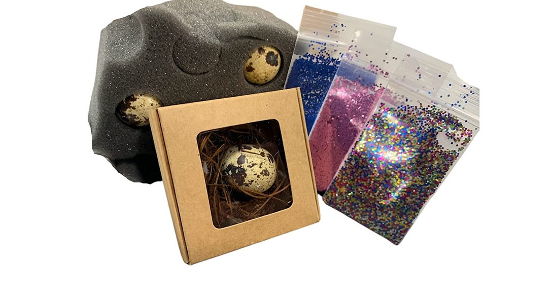 Quail Egg Pregnancy Announcement Gender Reveal Craft Kit - Etsy