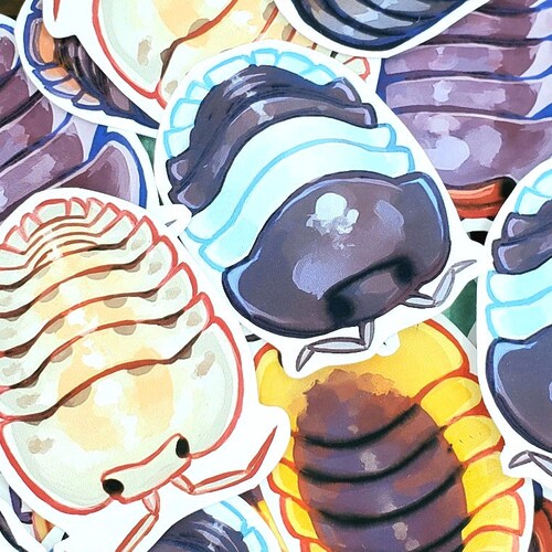 Isopod Vinyl Sticker Sheet 14 Stickers - Etsy