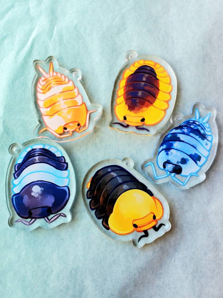 Isopod Acrylic Keychains - Etsy