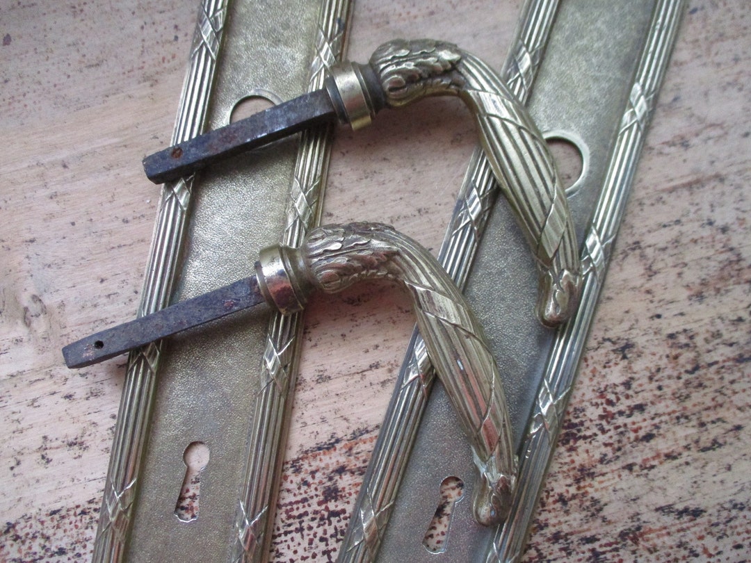 Brass Door Handles and Backplates, Ribbon & Reed Door Handles and ...