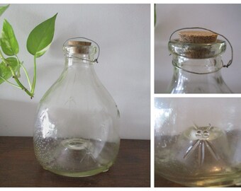 Vintage Glass Fly Trap - Etsy