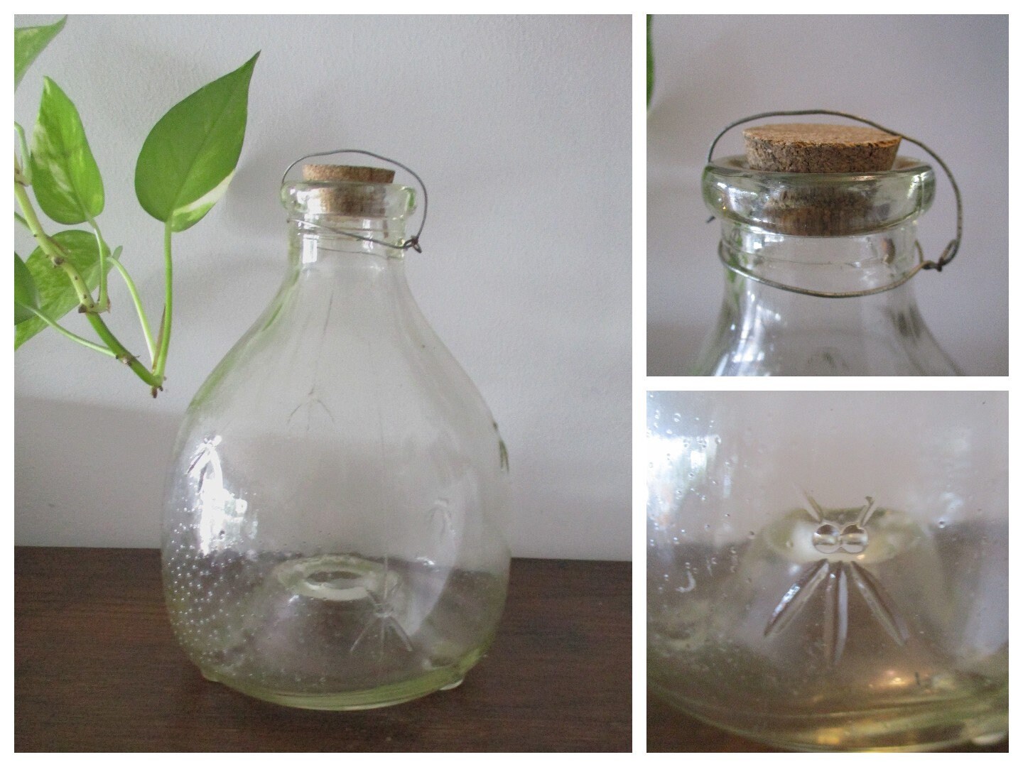 Wasp Trap 2pcs Wasp Catcher, Vest Traps, Fruit Fly Traps, Horn Trap ...