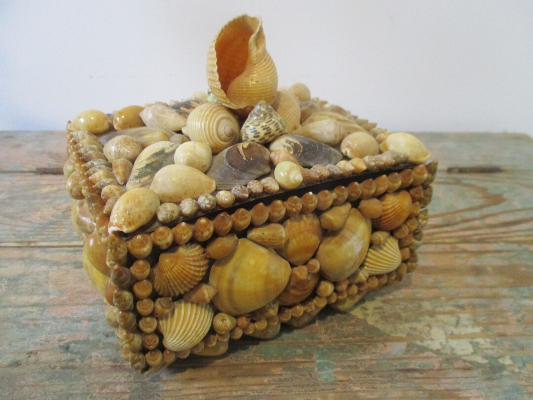 Seashell Folk Art Jewelry Box Beach , Beach Décor , Tropical Island ...