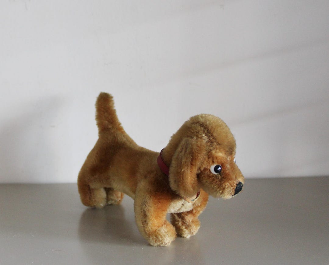 1950's German Steiff Hexie Dachshund Dog Button Flag Red Leather Collar ...