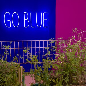Custom Neon Sign Go Blue Neon Sign Wall Decor Neon Sign Bedroom Neon ...