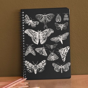 Moth Notebook Aesthetic Cottagecore Moth Illustration Vintage Moth ...