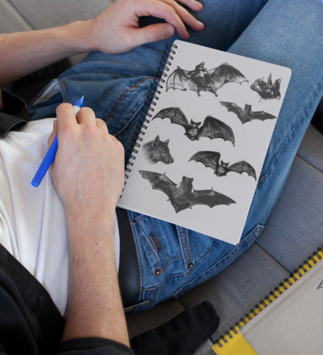 Bat Notebook Cottagecore Bats Vintage Illustration - Etsy