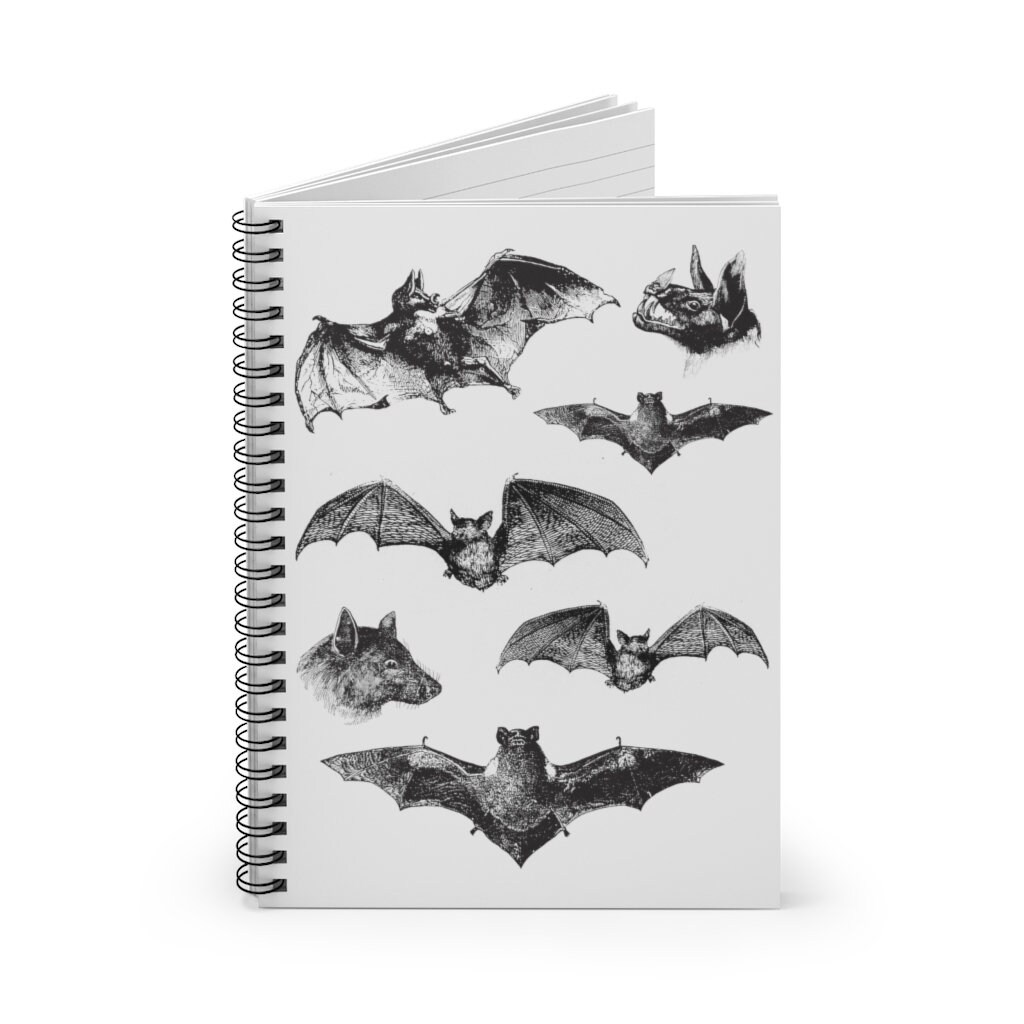 Bat Notebook Cottagecore Bats Vintage Illustration - Etsy