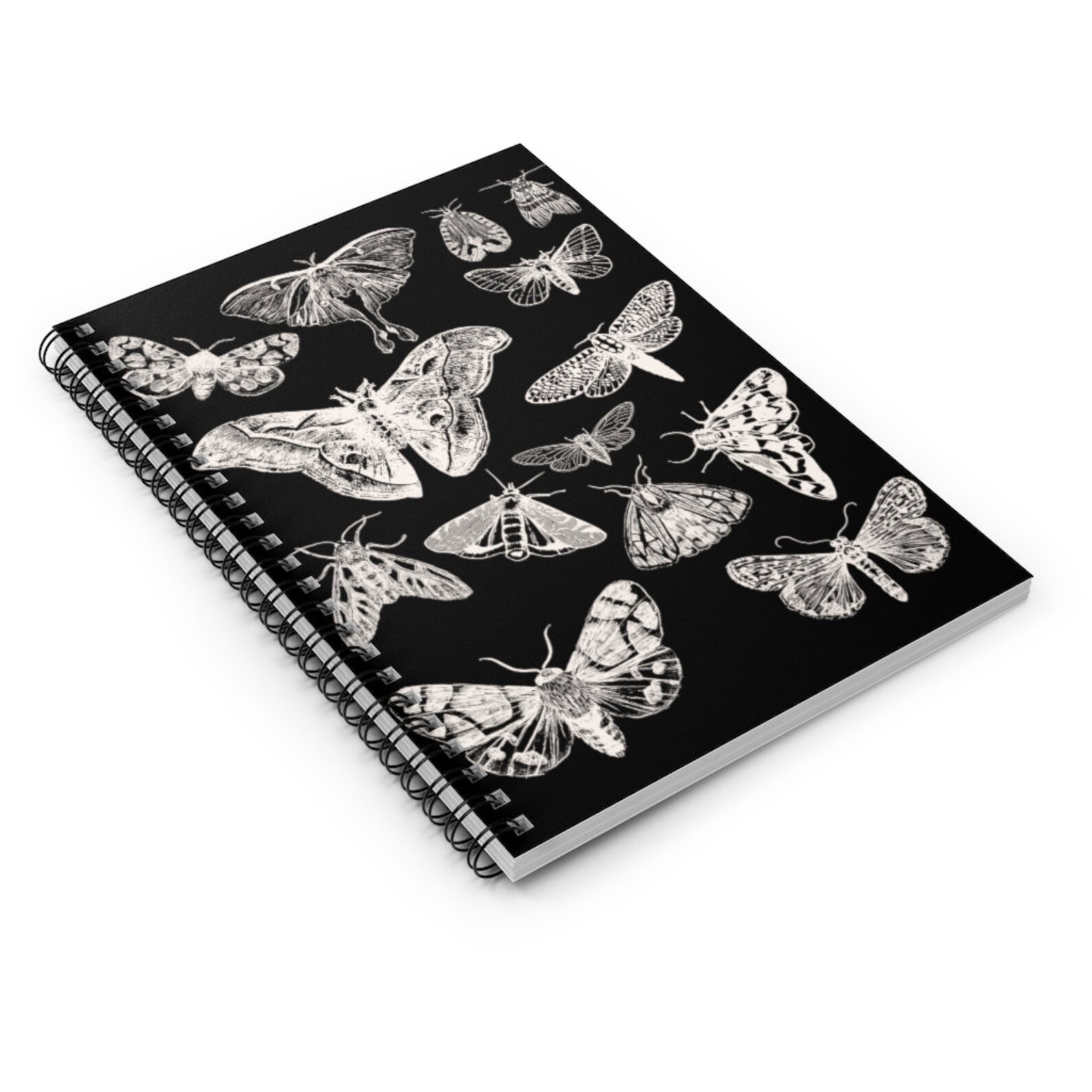 Moth Notebook Aesthetic Cottagecore Moth Illustration - Etsy