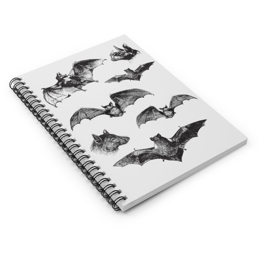 Bat Notebook Cottagecore Bats Vintage Illustration - Etsy