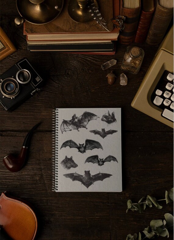 Bat Notebook Cottagecore Bats Vintage Illustration - Etsy