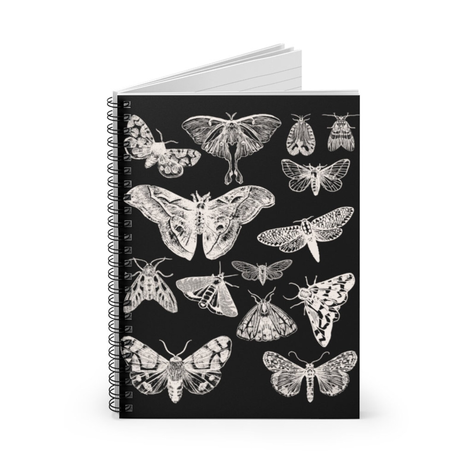 Moth Notebook Aesthetic Cottagecore Moth Illustration - Etsy