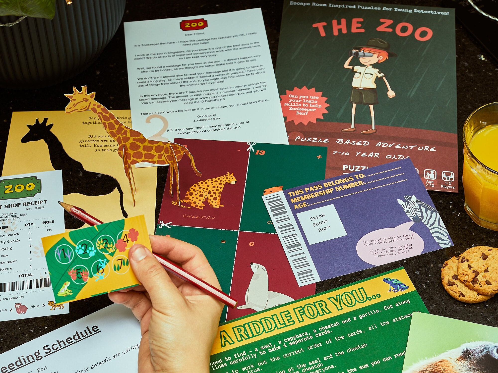 Zoo Themed Logic Puzzle for Kids, Escape Room Game Birthday Party ...