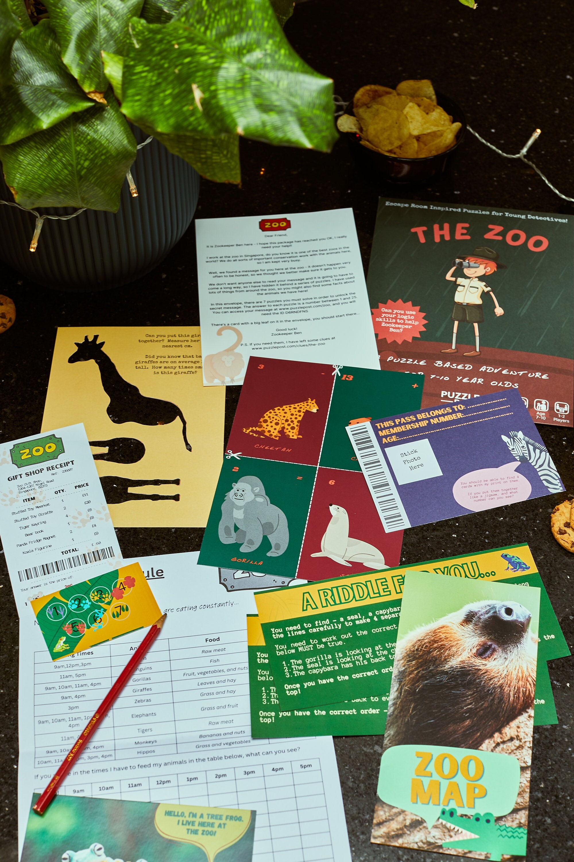 Zoo Themed Logic Puzzle for Kids, Escape Room Game Birthday Party ...