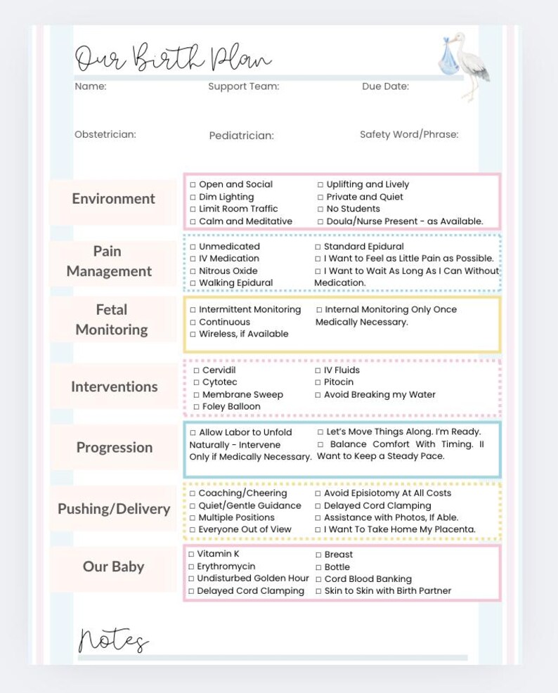 Birth Plan + Nurse Cheat Sheet | Printable Hospital Delivery PDF - Etsy