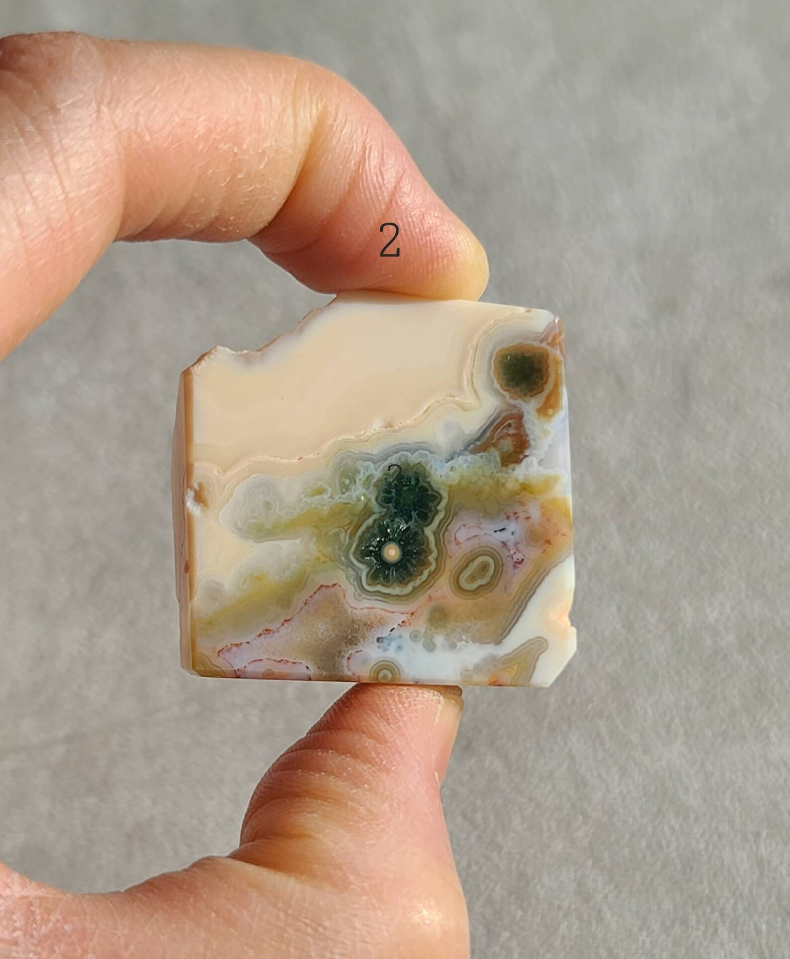 Old Stock Pink Ocean Jasper Specimen Orbicular Ocean Jasper - Etsy