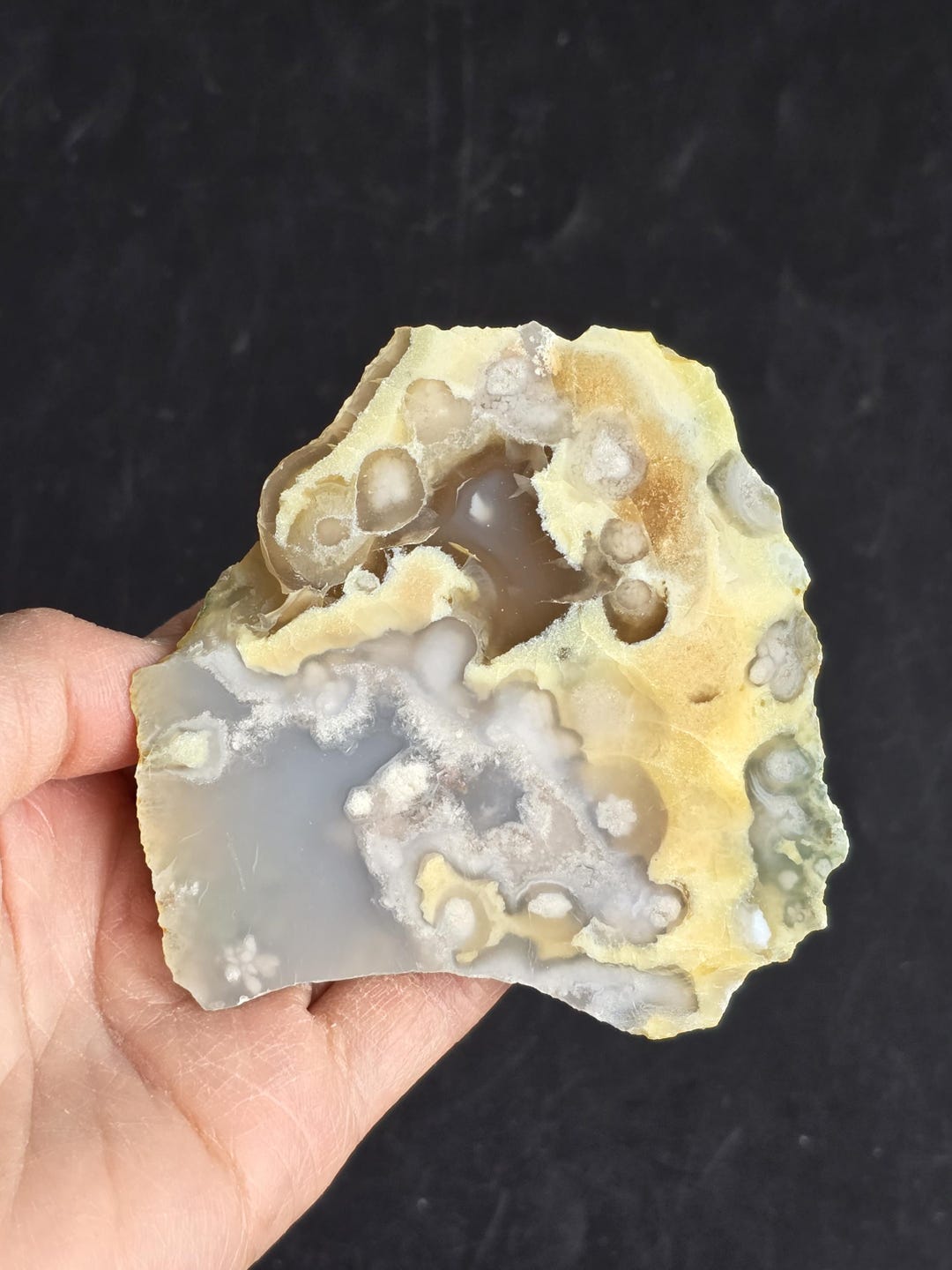 Yellow Flower Agate Slab: Polished Crystal Display (3") - Etsy