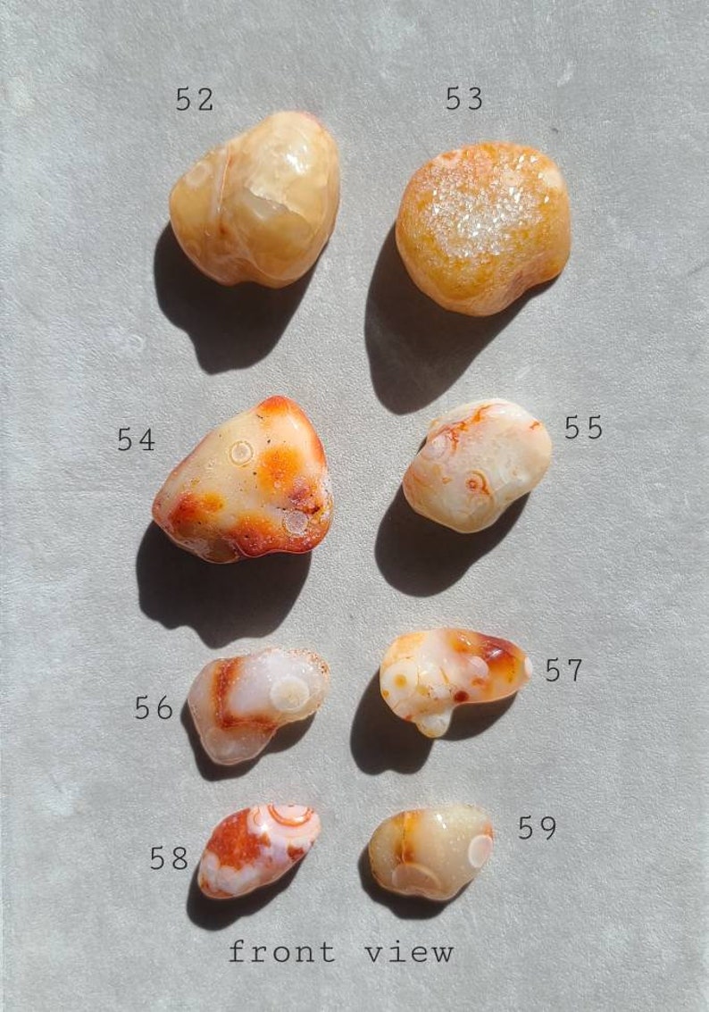 Gobi Desert Agate Tumble Stone Orbicular Eye Agate Orange - Etsy