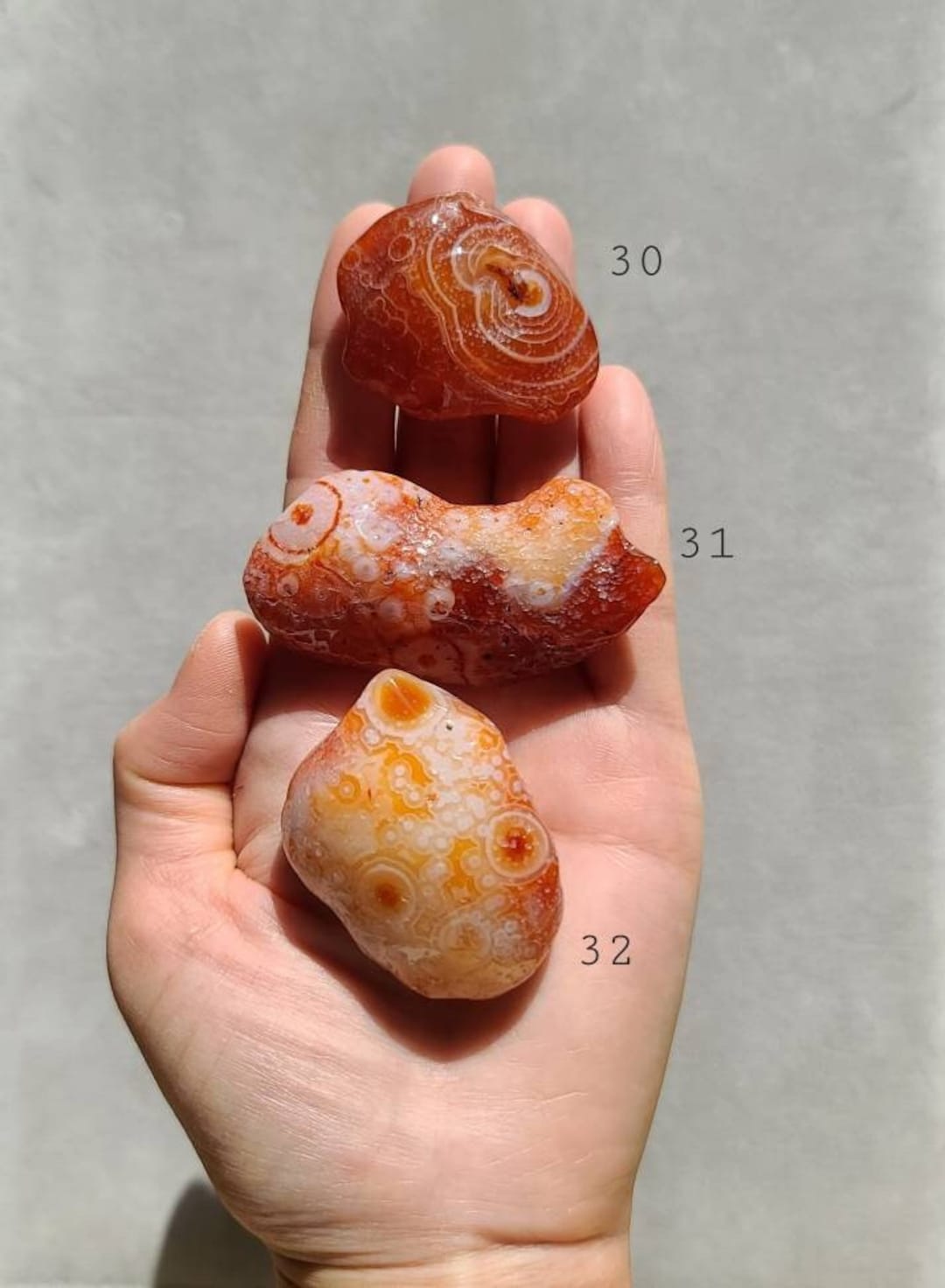 Gobi Desert Agate Tumble Stone, Orbicular Eye Agate, Orange Agate Palm ...