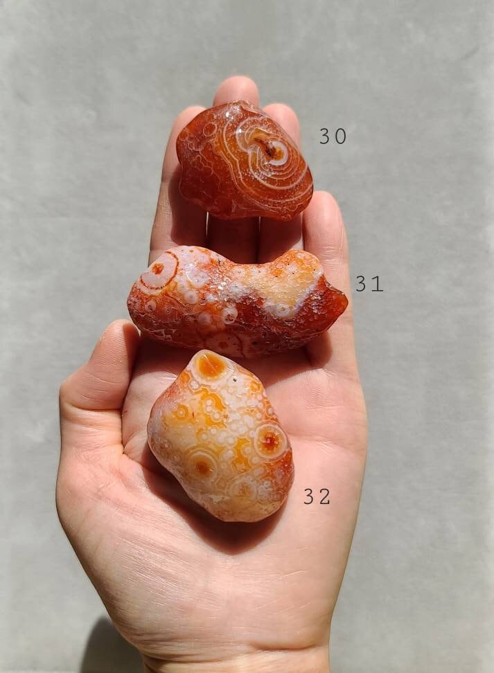 Gobi Desert Agate Tumble Stone Orbicular Eye Agate Orange - Etsy