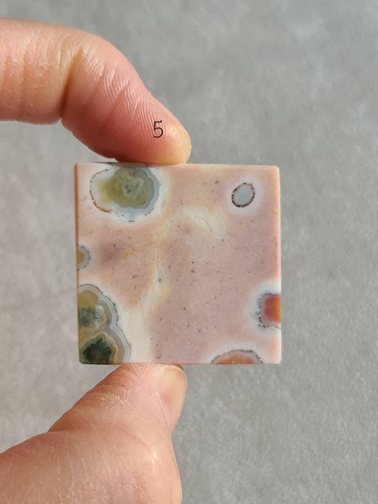 Old Stock Pink Ocean Jasper Specimen Orbicular Ocean Jasper - Etsy