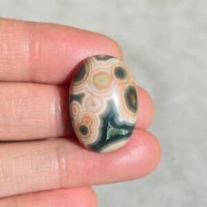 Old Stock Pink Ocean Jasper Pocket Stone, Orbicular Ocean Jasper, Fish ...