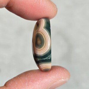 Old Stock Pink Ocean Jasper Pocket Stone, Orbicular Ocean Jasper, Fish ...