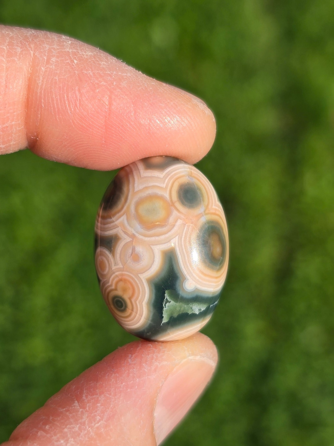Old Stock Pink Ocean Jasper Pocket Stone, Orbicular Ocean Jasper, Fish ...