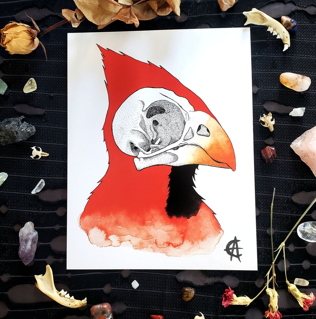 Spooky Watercolor and Ink Cardinal Skull Art Print - Etsy