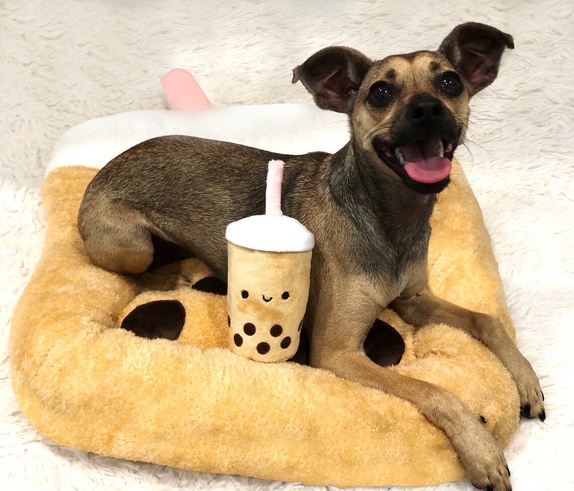 TONBO Boba Pet Bed With Boba Crinkle Toy - Etsy