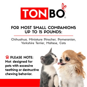 TONBO Strawberry Pet Bed With Daisy Crinkle Toy - Etsy