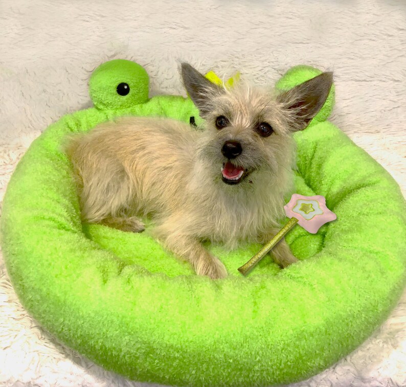 TONBO Frog Pet Bed With Wand Crinkle Toy - Etsy