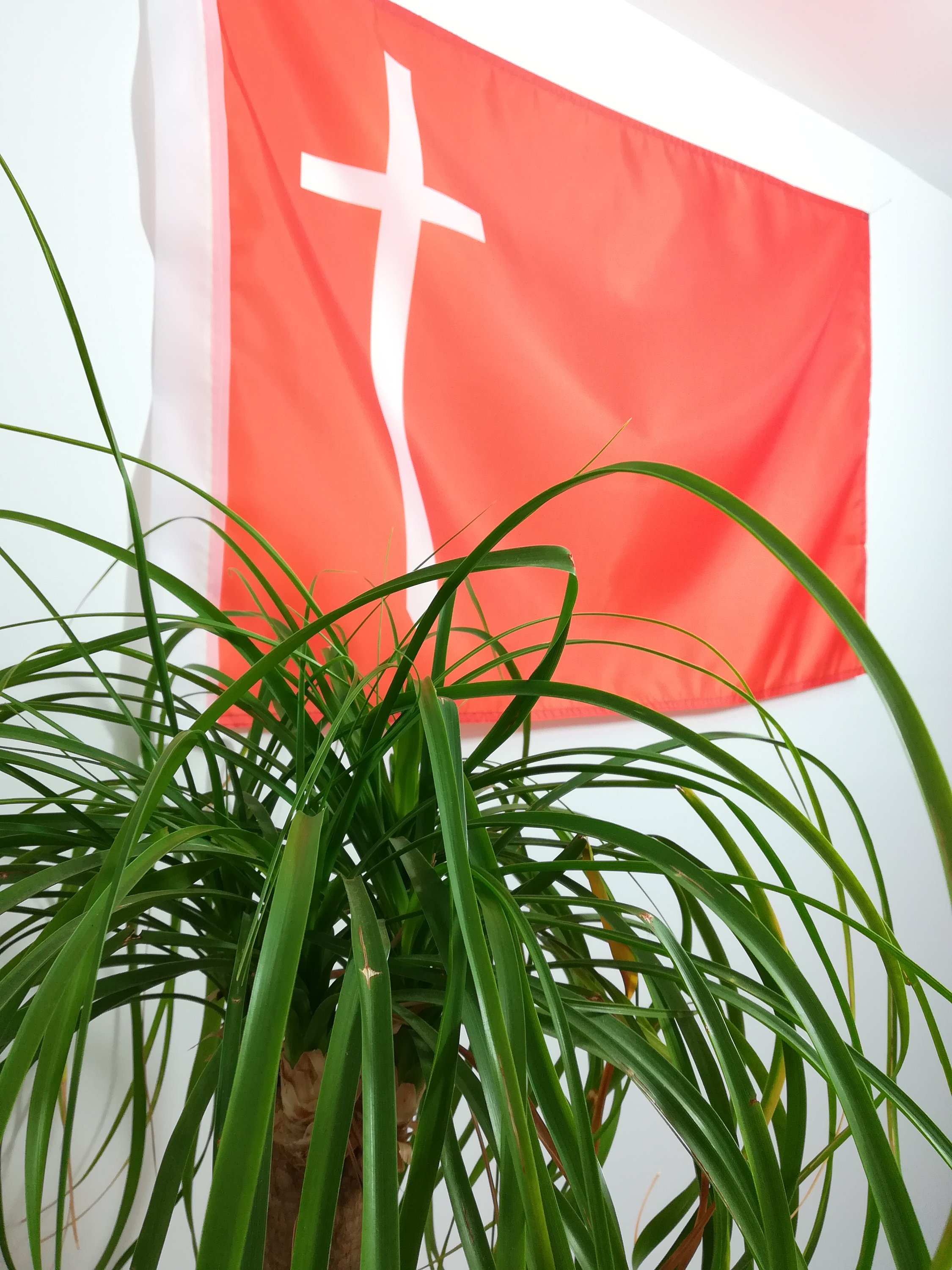 Hasan-jalalyan Armenian Flag - Etsy