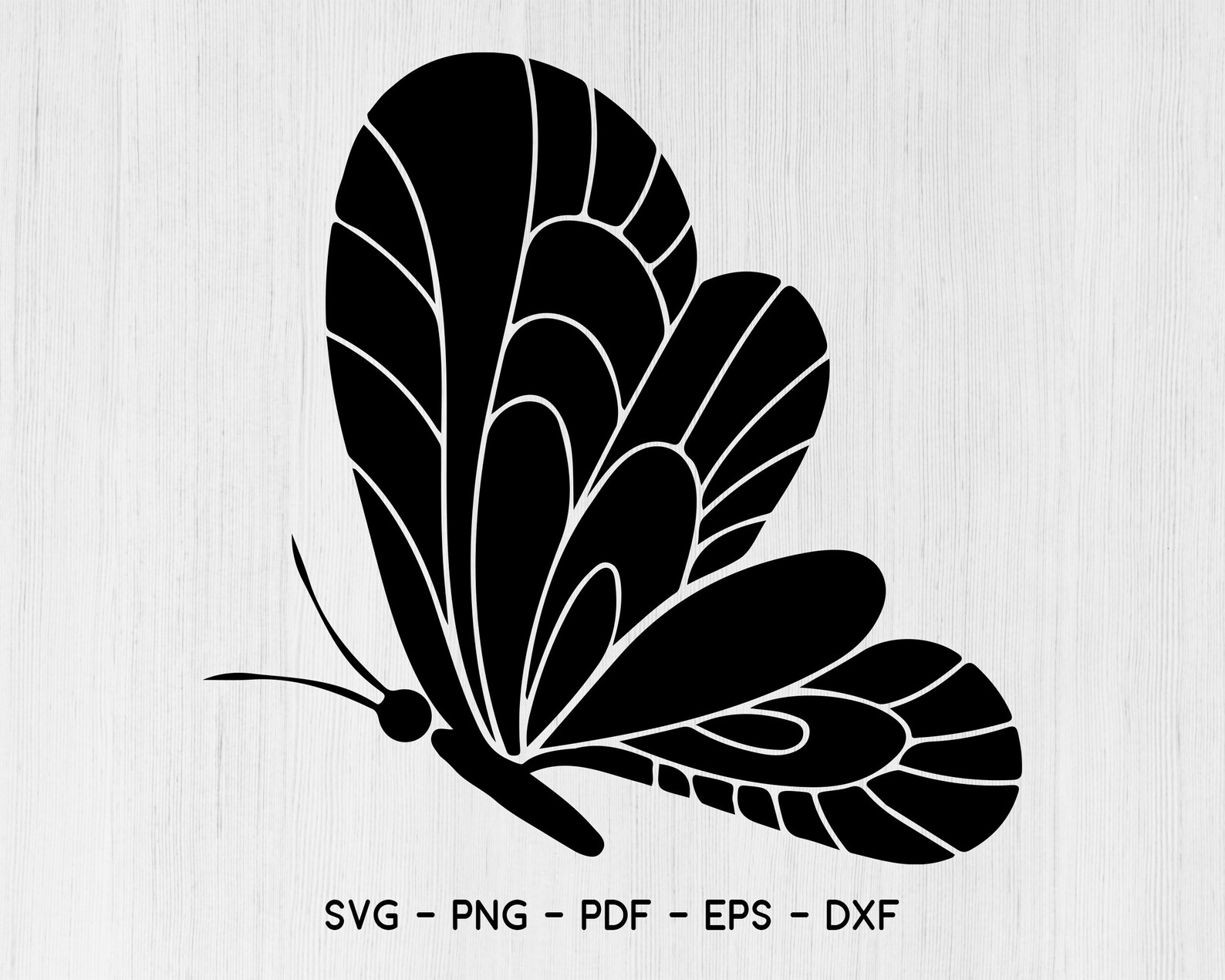 Butterfly SVG, Butterfly SVG Files, Butterfly Files for Cricut ...