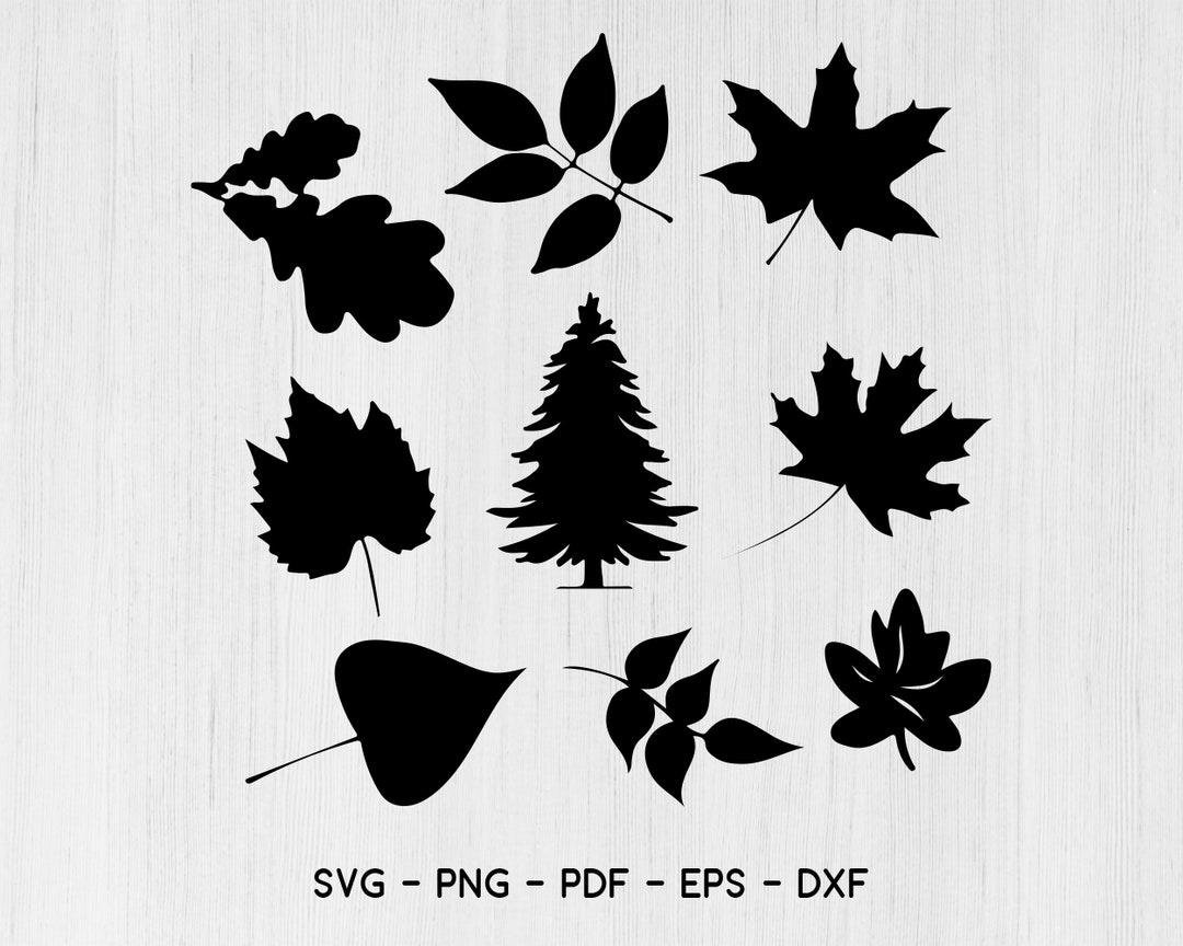Fall Leaves Svg Bundle - 10 Designs, Fall Svg, Fall Leaf Pattern Svg ...