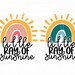 Little Ray of Sunshine Svg, Baby Svg, Onesie Svg, You Are My Sunshine ...
