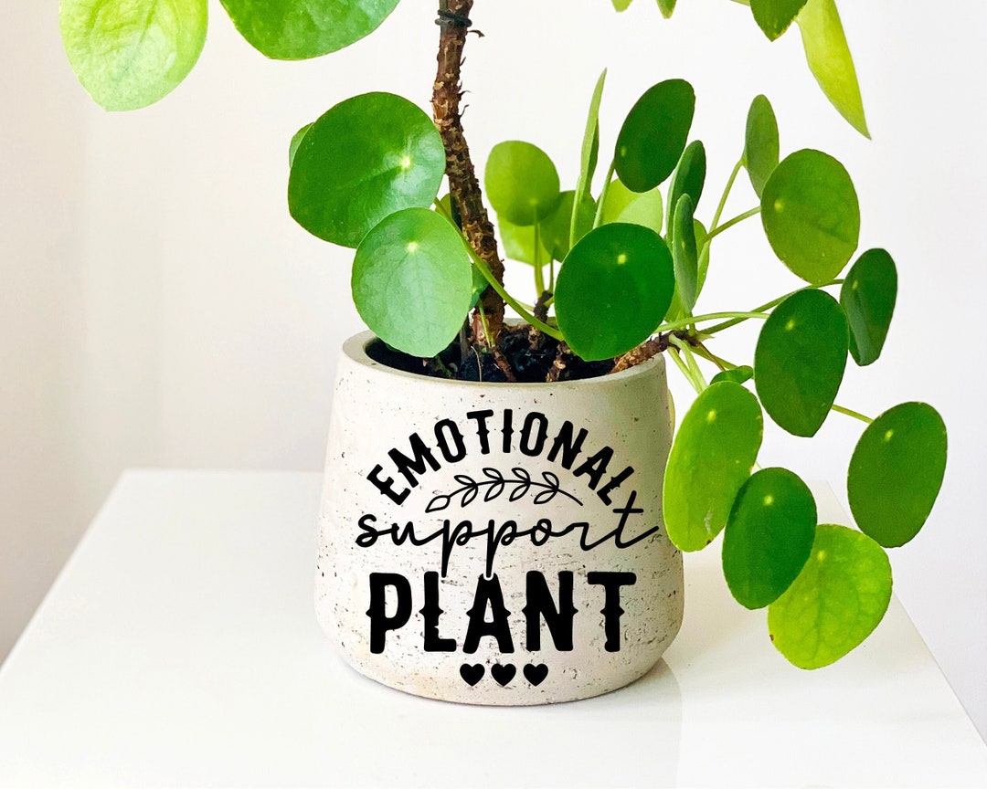Emotional Support Plant Svg, Plants Svg, Plant Quotes Svg, Plant Mom ...